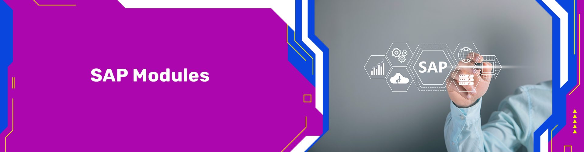 SAP Modules - Netline Technologies India Pvt Ltd